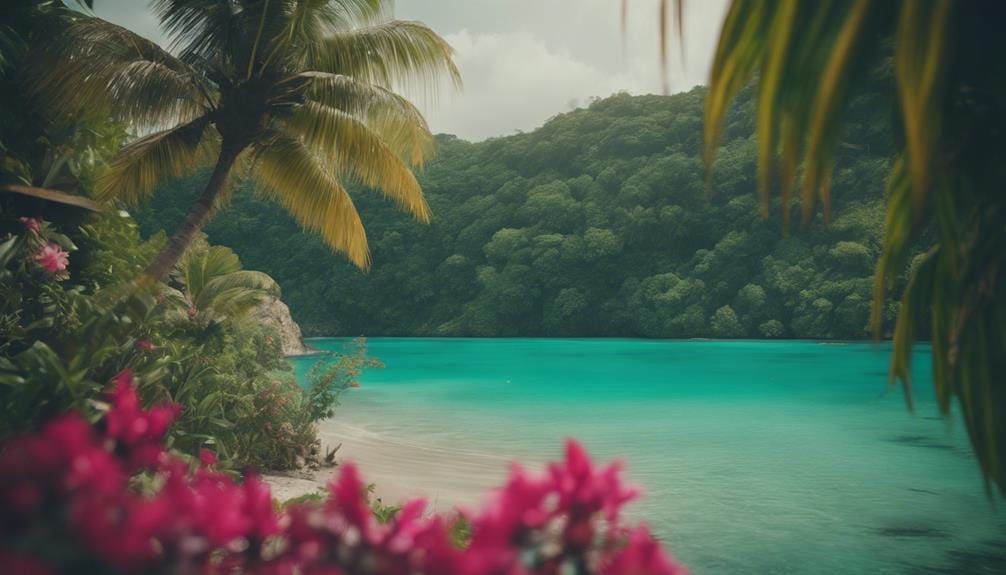 Color Ideas Cebu: Inspiring Palettes